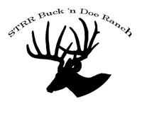 STRR Whitetails - Content Photos Photo 206